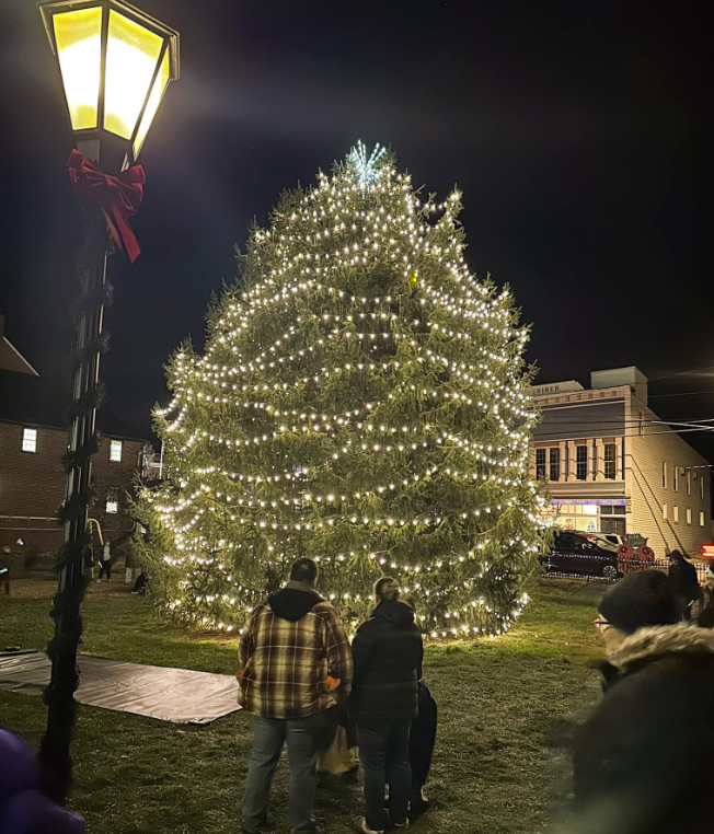 Christmas in the Park & Tree Lighting - Northern Shenandoah Valley